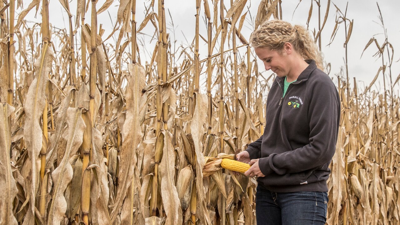 News and Stories | Global