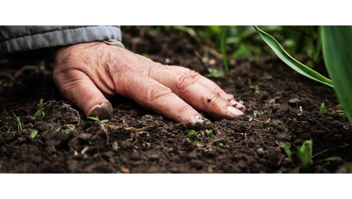 Land Preservation | Bayer Global