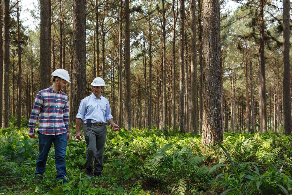 Environmental Science | Bayer global