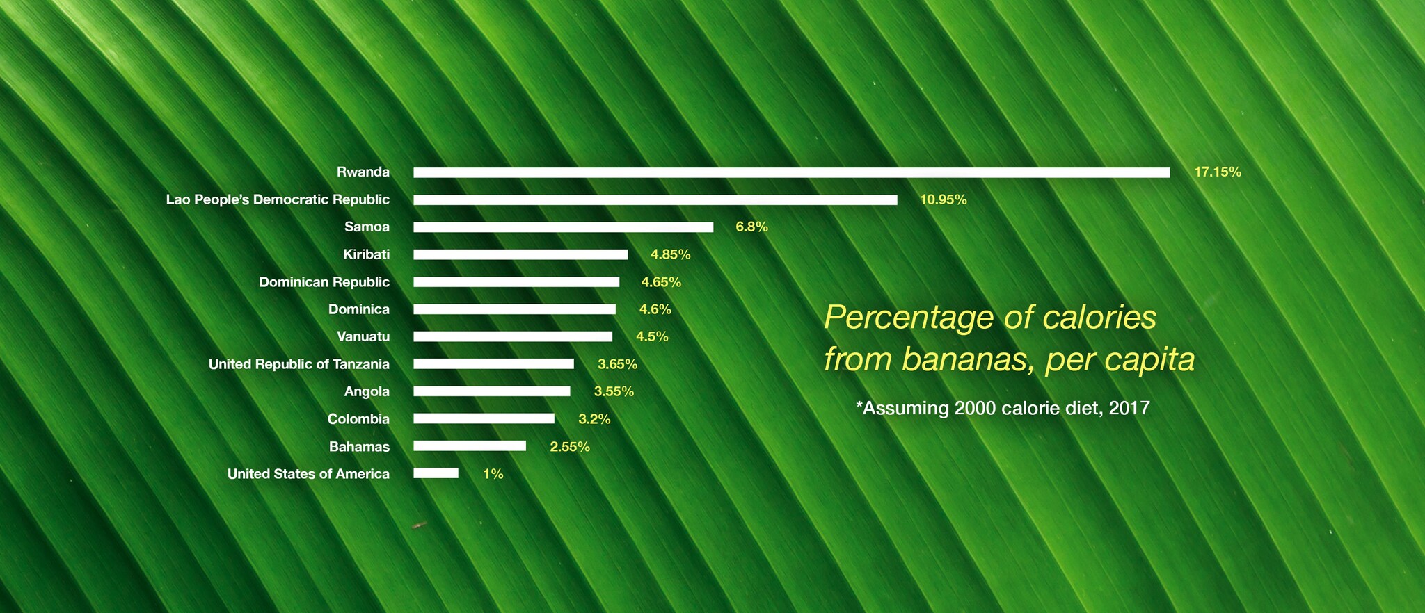 History of Bananas | Bayer Global