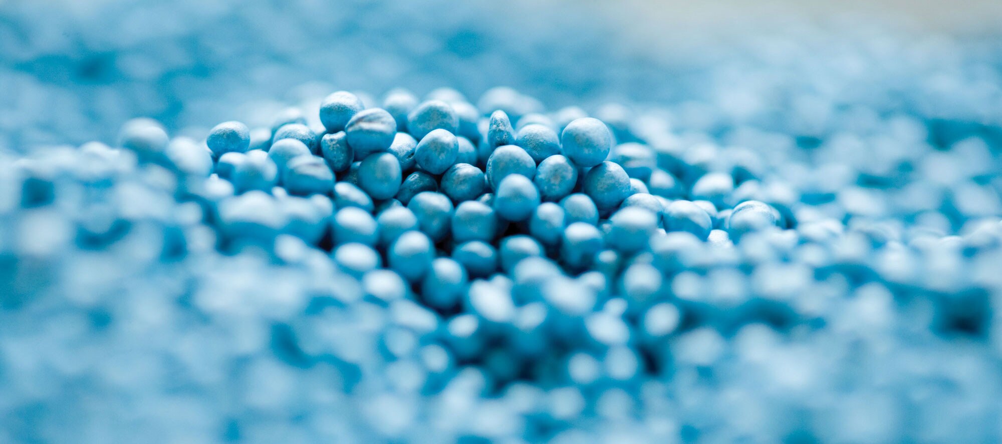 Safety of GM Products | Bayer global