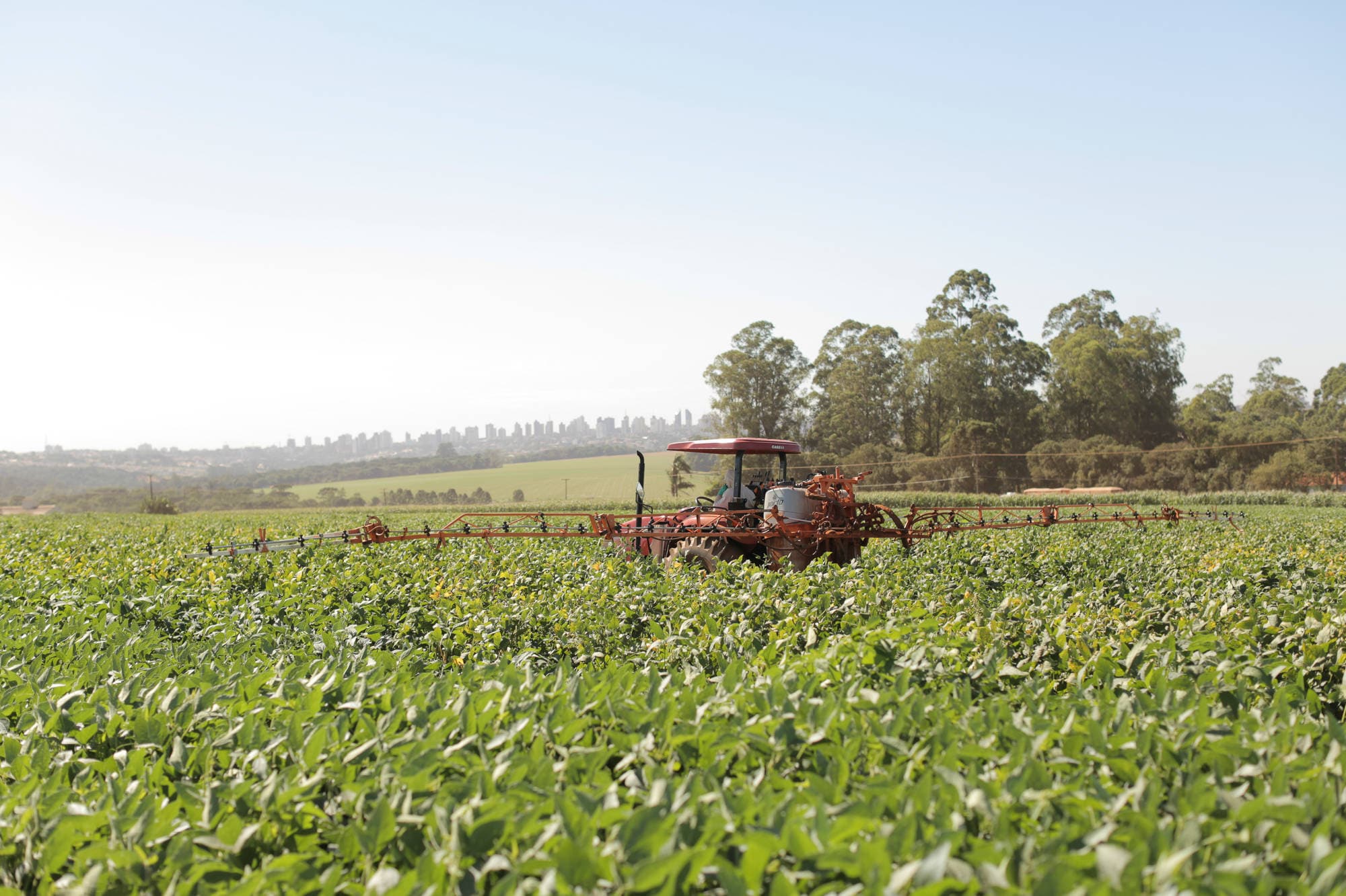 Human Safety and Pesticides | Bayer Global