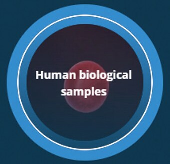 Bioethical Principles at Bayer | Bayer Global